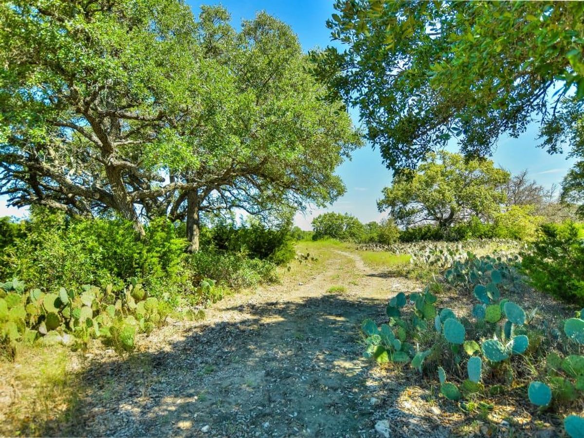 The land has good soil and has been cleared of major obstructions ...