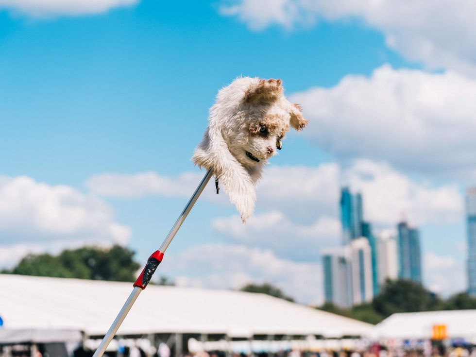 20 funny and clever fan flags flying at ACL Fest 2024 - CultureMap Austin