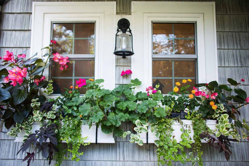 6 iconic Austin toy stores that will make you feel like a kid again ...