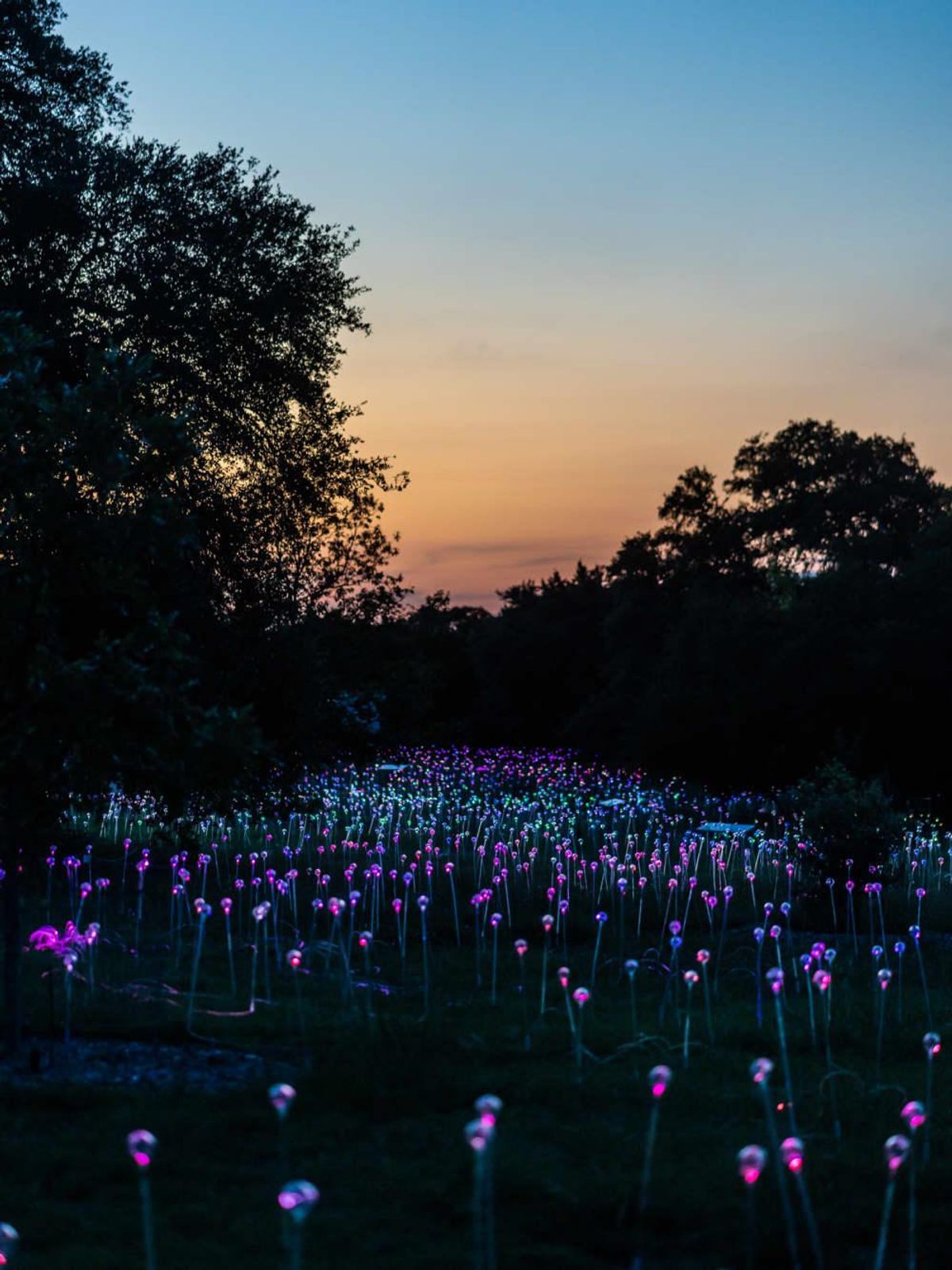 Once illuminated, the bulbs will cycle through colors, evident in both ...
