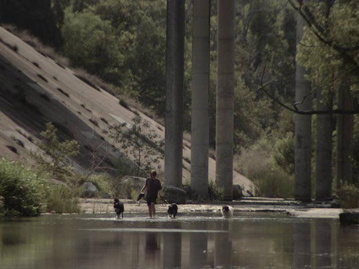 Annie Silverstein's short film, Skunk, earned a huge honor at the 2014 ...