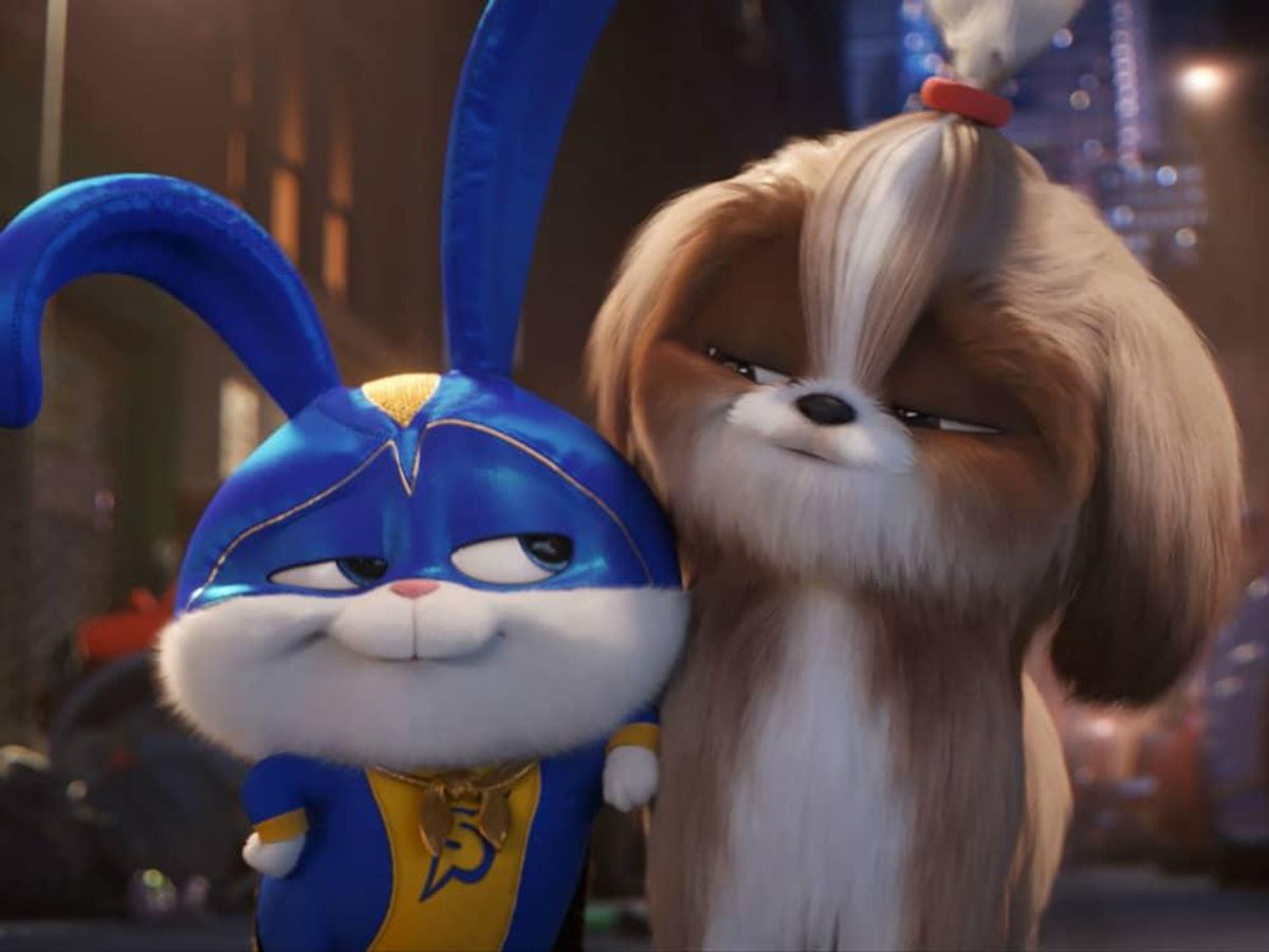 Snowball (Kevin Hart) and Daisy (Tiffany Haddish) in The Secret Life of ...