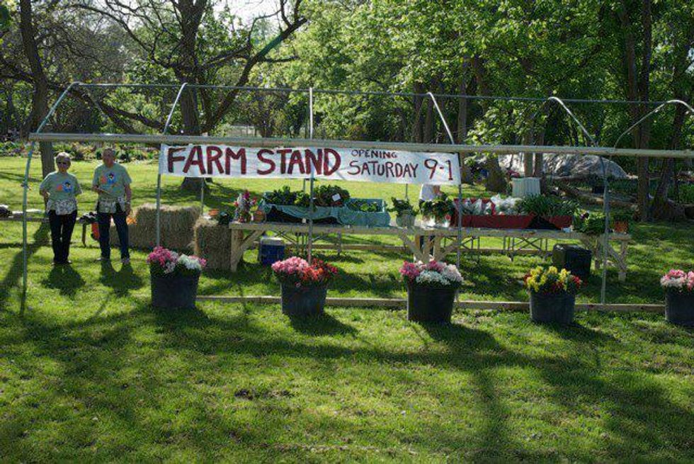 East Austin's Springdale Farm could shutter without support: Here's how ...